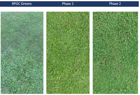 Golf Grass Test Plot @ RPGC – Spin Eight Nano Technologies Sdn Bhd